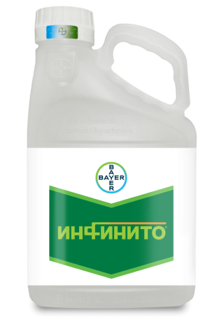 Фунгицид Инфинито®: описание, характеристики, инструкция по применению